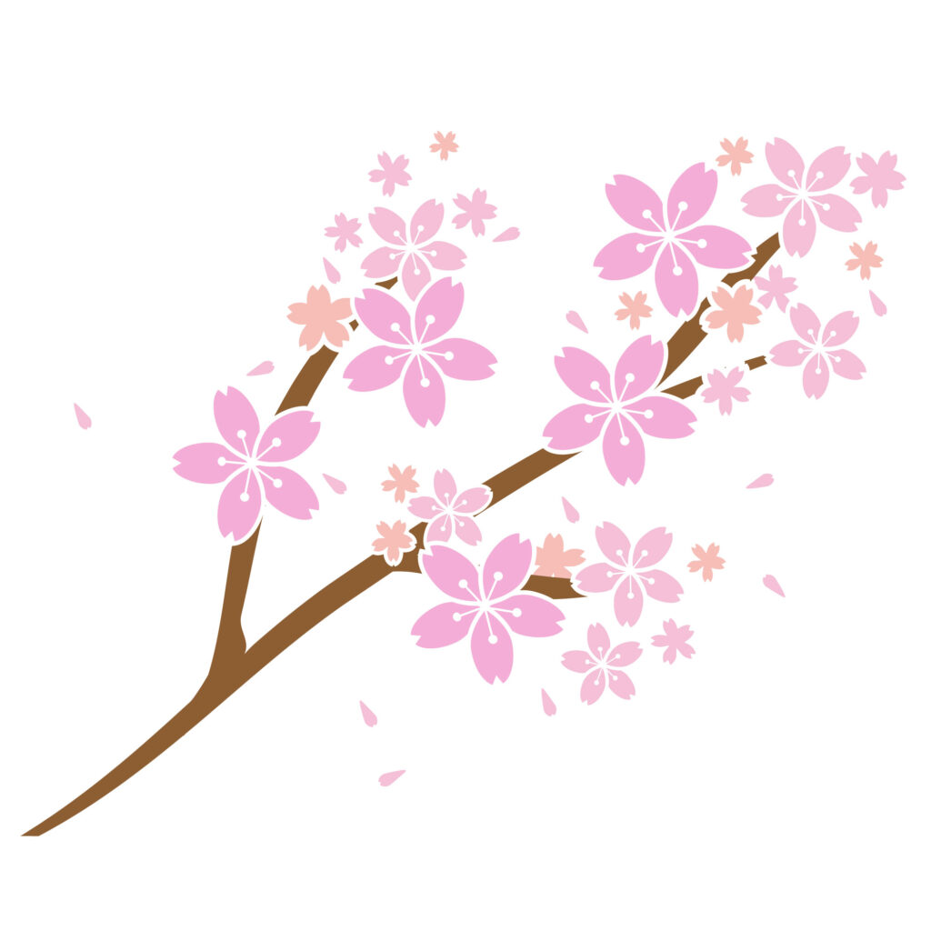 桜の花びらが散る桜の枝 Ziu Illustration